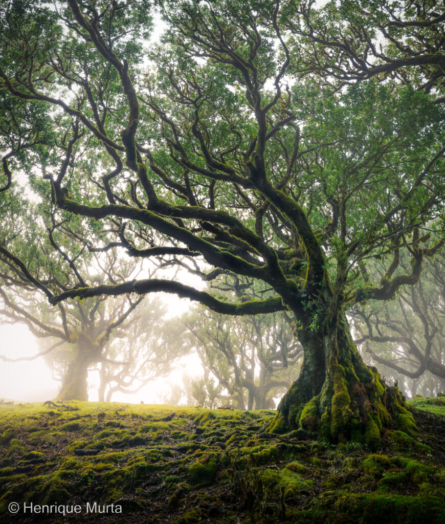 Photographic Immersion with Henrique Murta & Cristiano Xavier ...